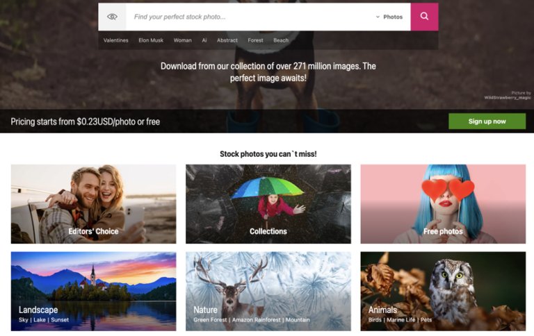 Dreamstime Review: Affordable, Commercial Use Stock Photos