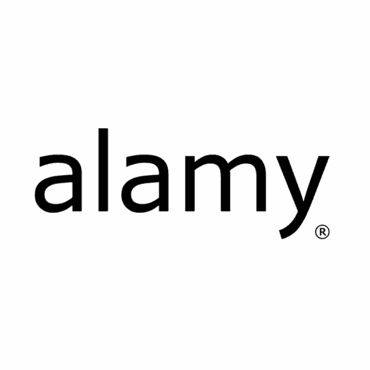 Alamy vs Adobe Stock: Discover the Best Stock Images for your needs!