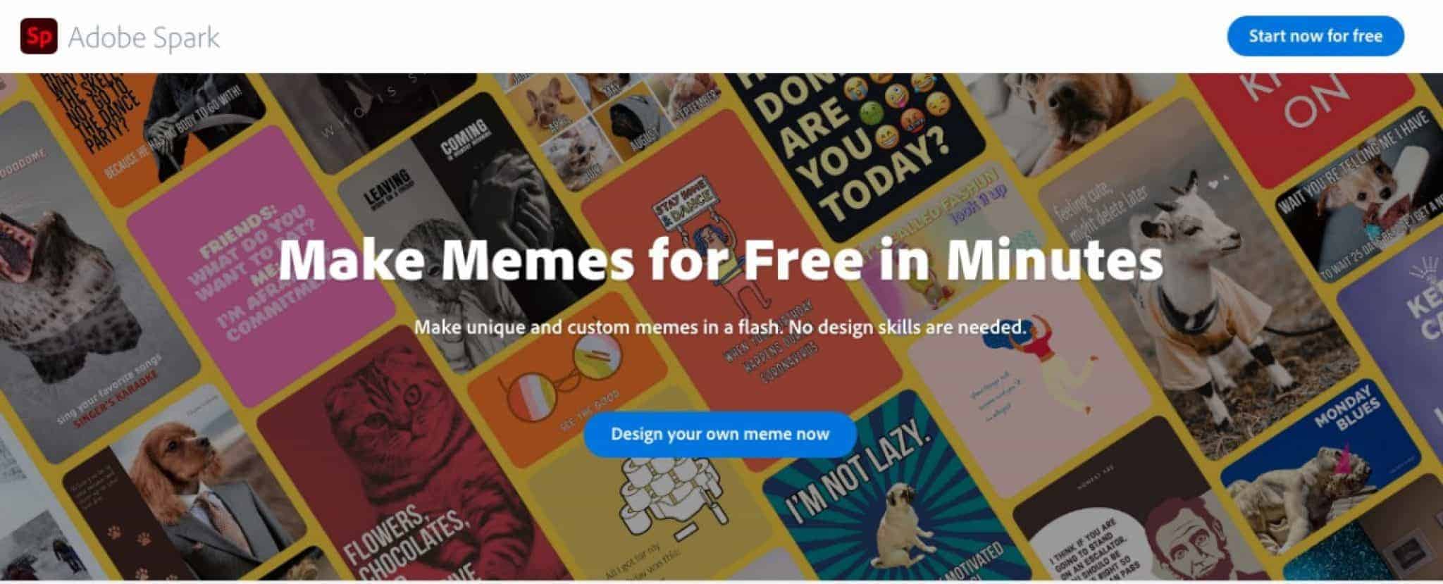 "Memes" fotky - Vznik vaší vtipné "Meme" fotky - fotobanka.cz