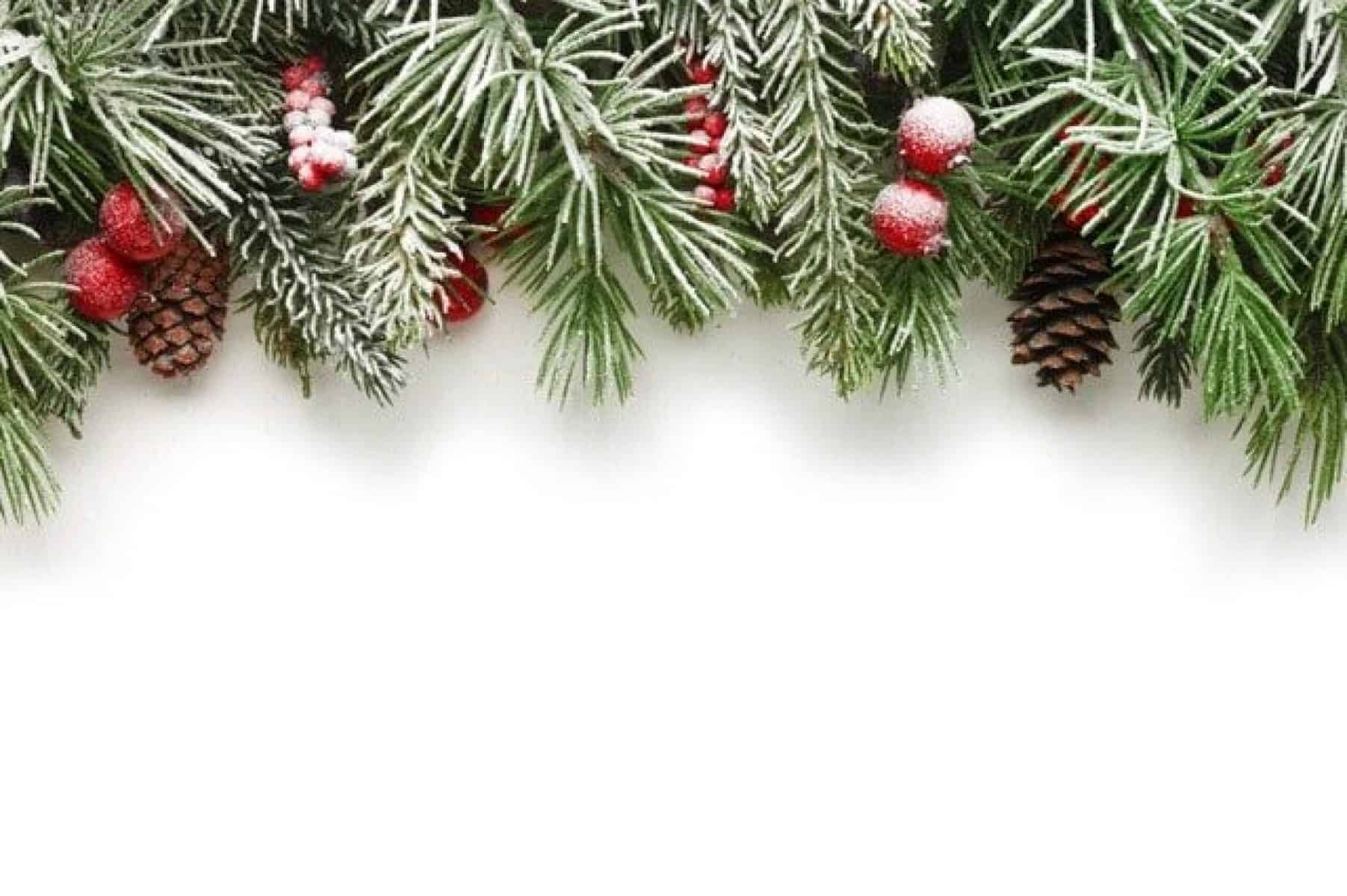 The 60 Most Downloaded Images in 2018 from Top Stock Photo Agencies ...