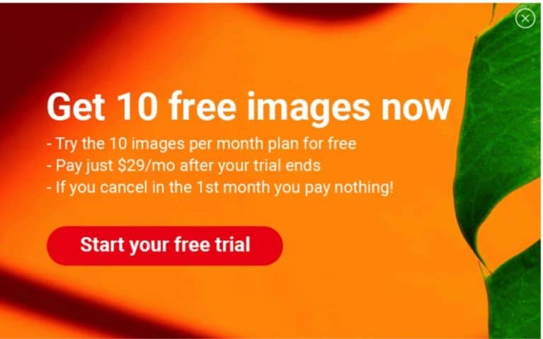 5 Ways to Download Images Without the Shutterstock Watermark