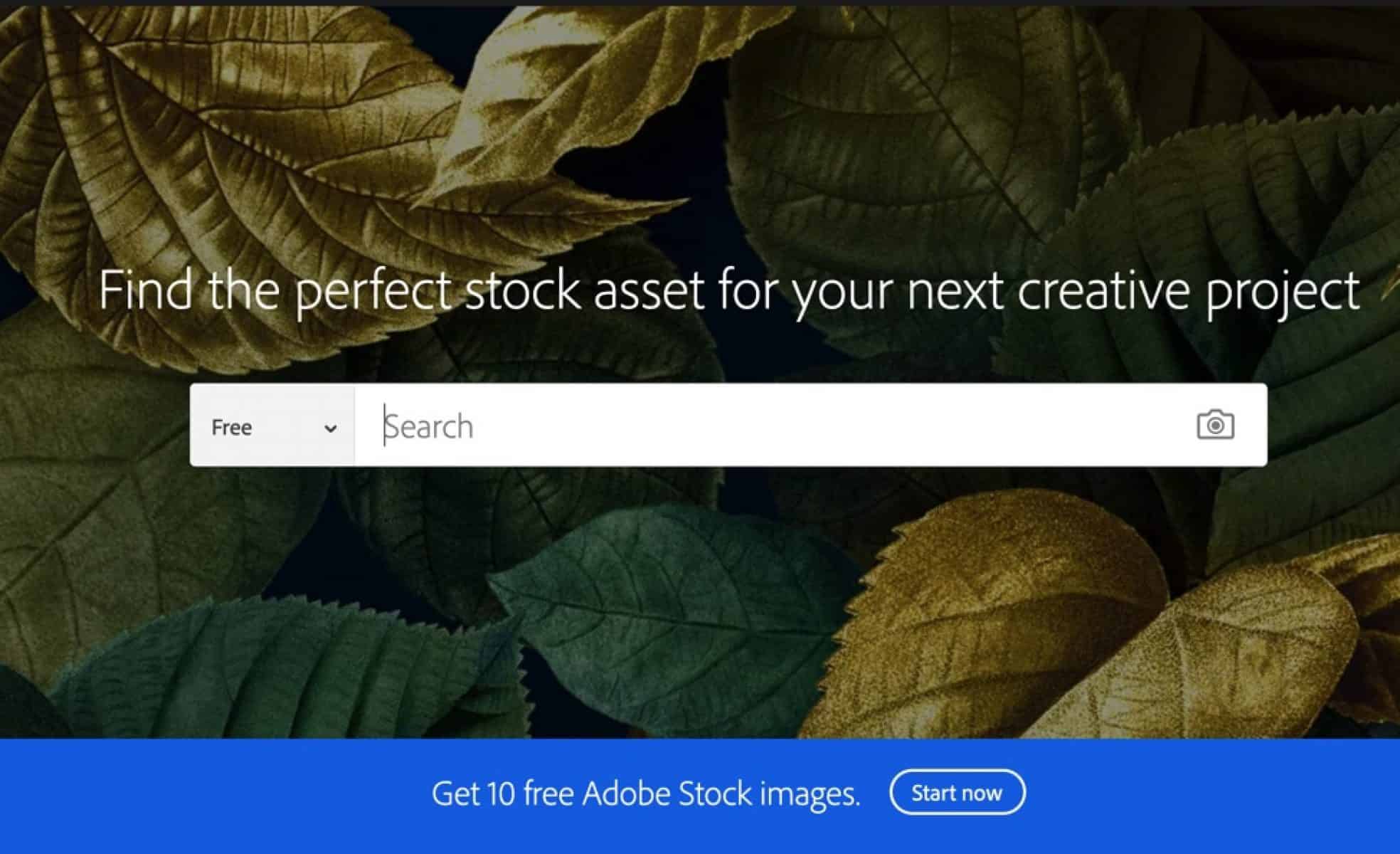 Adobe Stock Pricing: How Much Are Adobe Stock Images? [2026 Update]