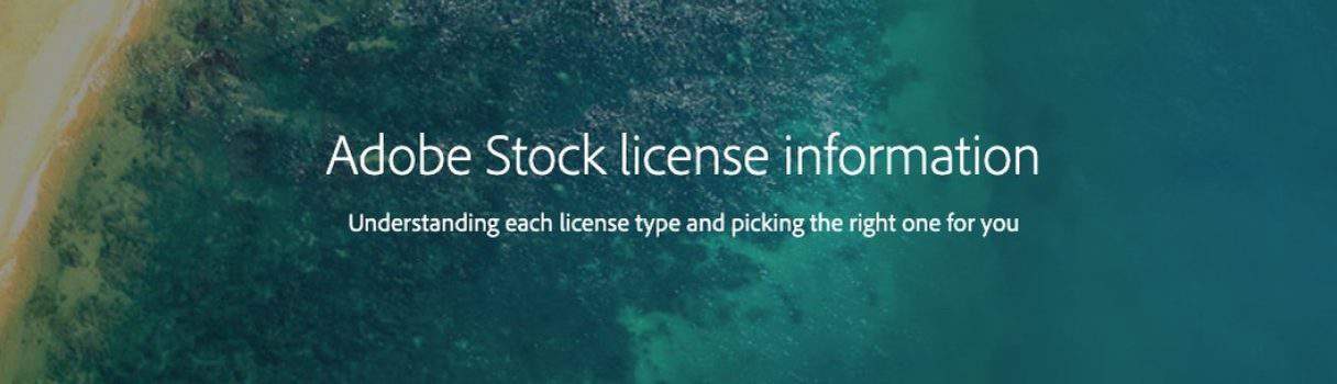 Standard License vs Extended License - The Ultimate Comparative Guide