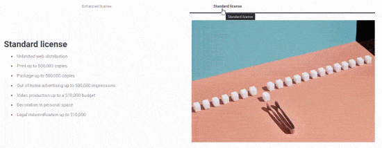 Shutterstock vs Adobe Stock: Which One is Best in 2025