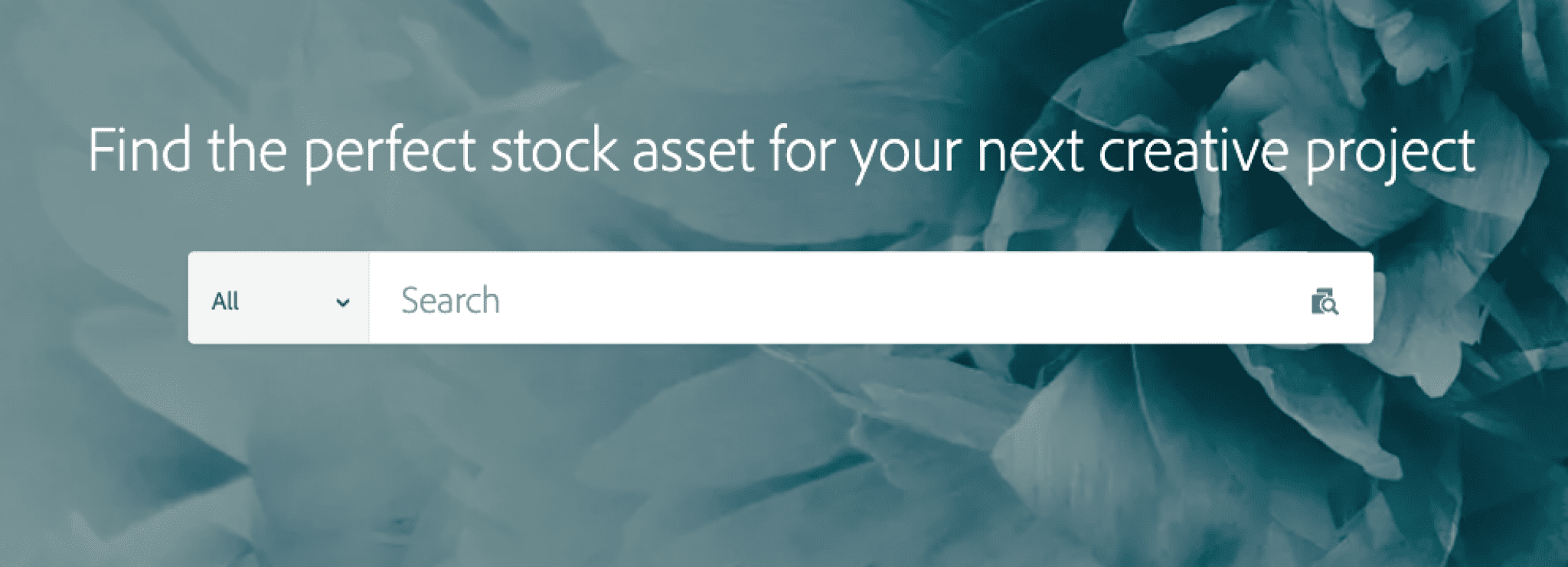 Shutterstock vs Adobe Stock: Which One is Best in 2025