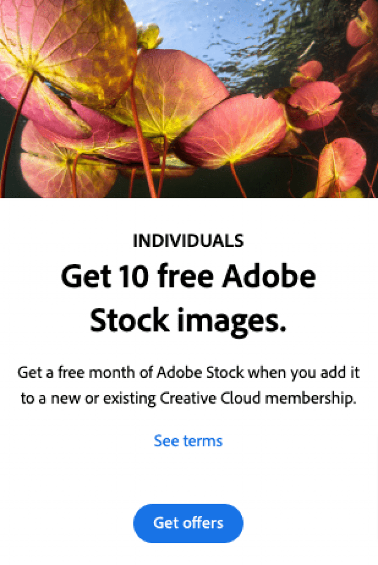 What Is Adobe Stock Used For: Discover How to Use Stunning Images and ...