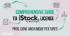 Comprehensive Guide to iStock License: Pros, Cons, and Unique Features