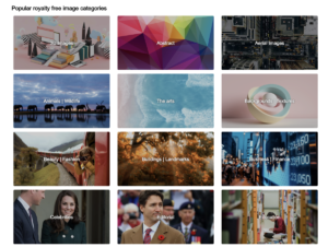 Shutterstock Search Guide: Tips to Find the Perfect Photos